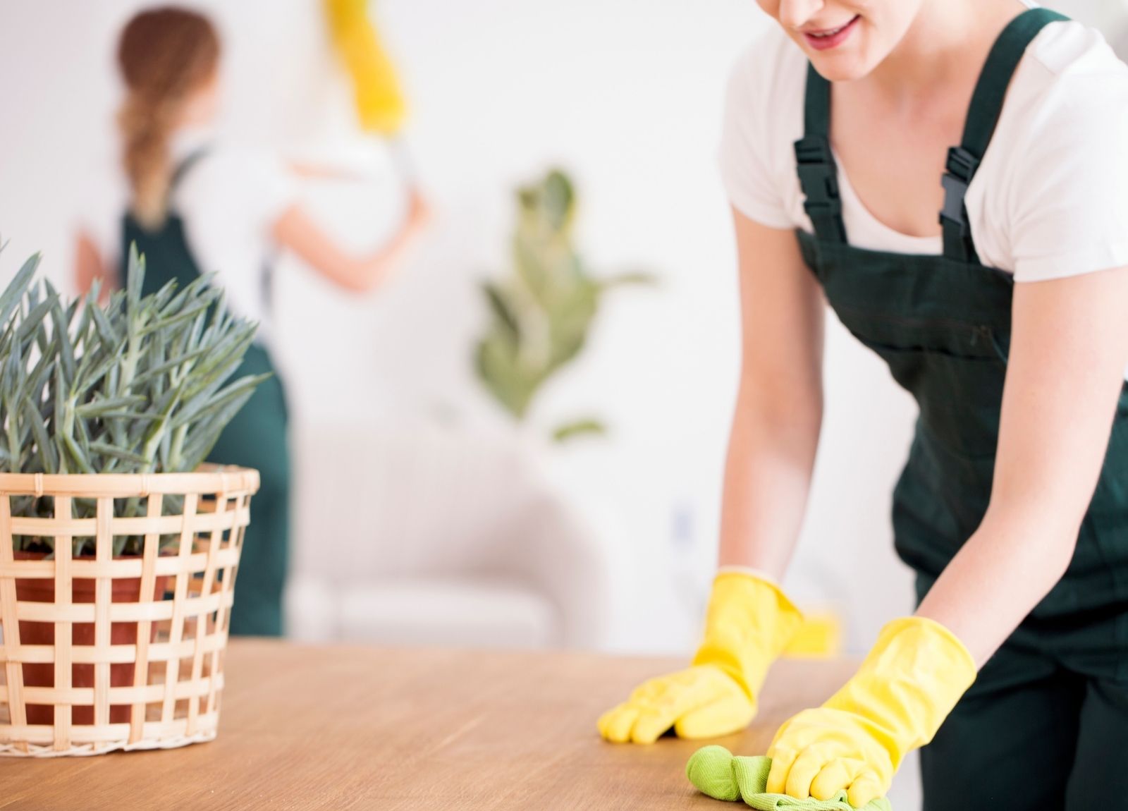 Eco-Friendly Green Cleaning Services | Super Spotless